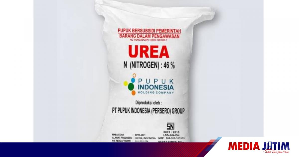 Petani di Pamekasan Beli Pupuk Urea Rp200 Ribu Per Sak, DPRD: Ini Imbas ...